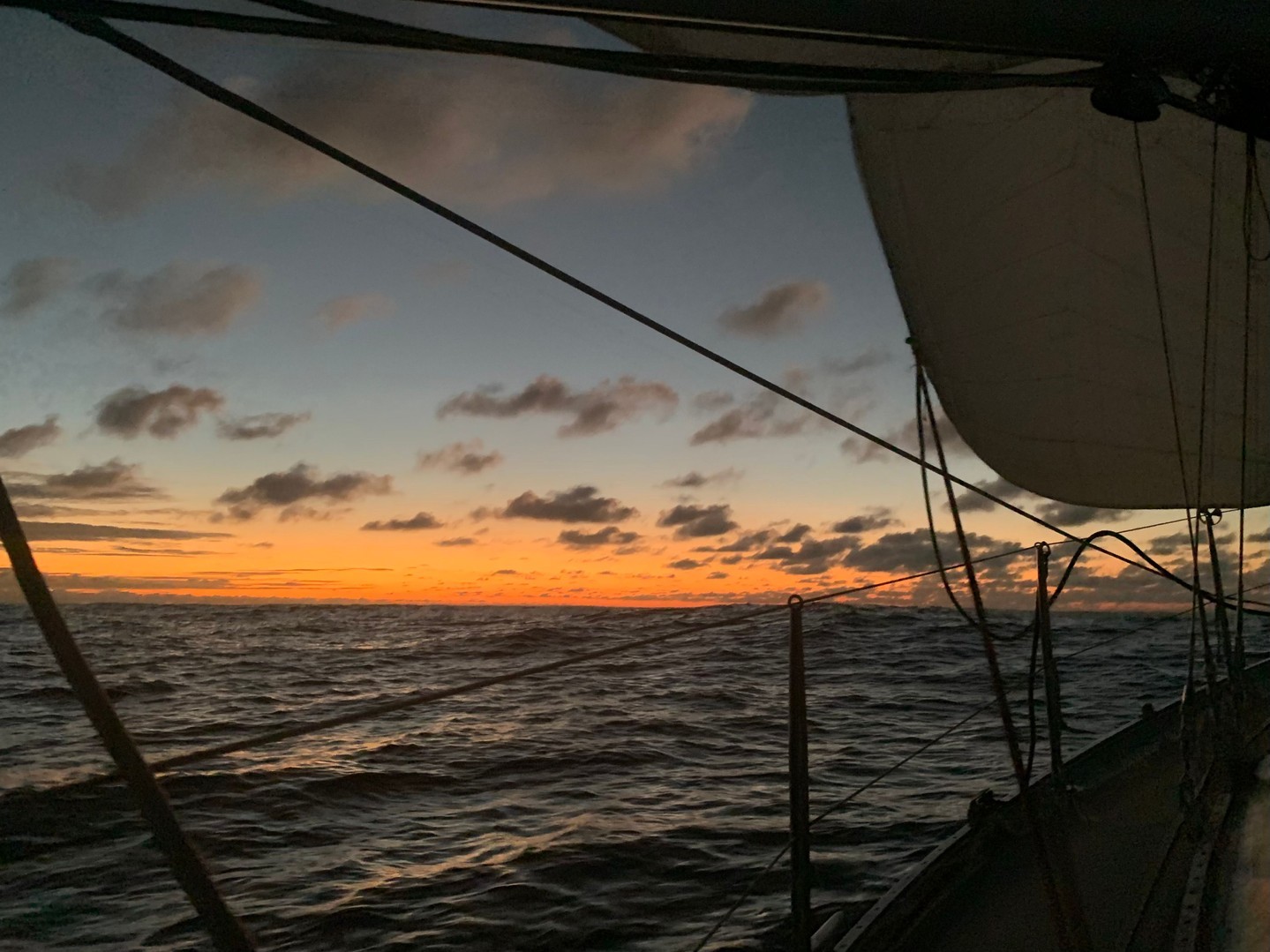 Photo's - Sailing Loveworkx